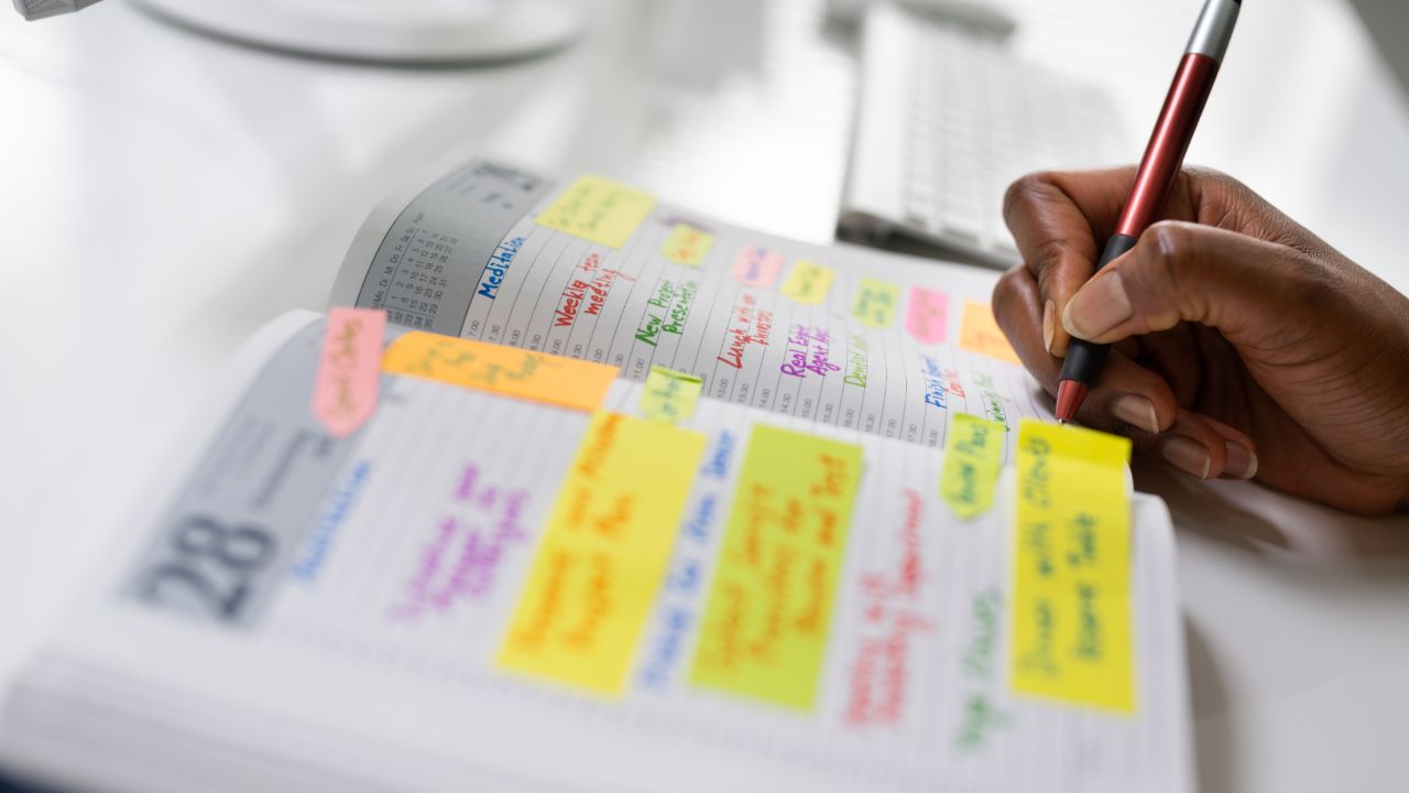 Study Plans - GregMat